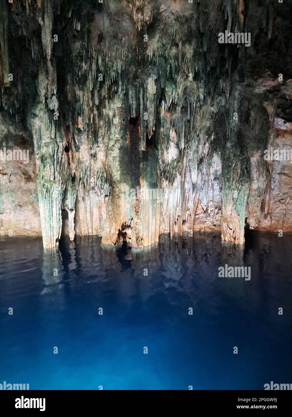 The Cenotes in Yucatan, Mexico are deep natural wells, a natural ...