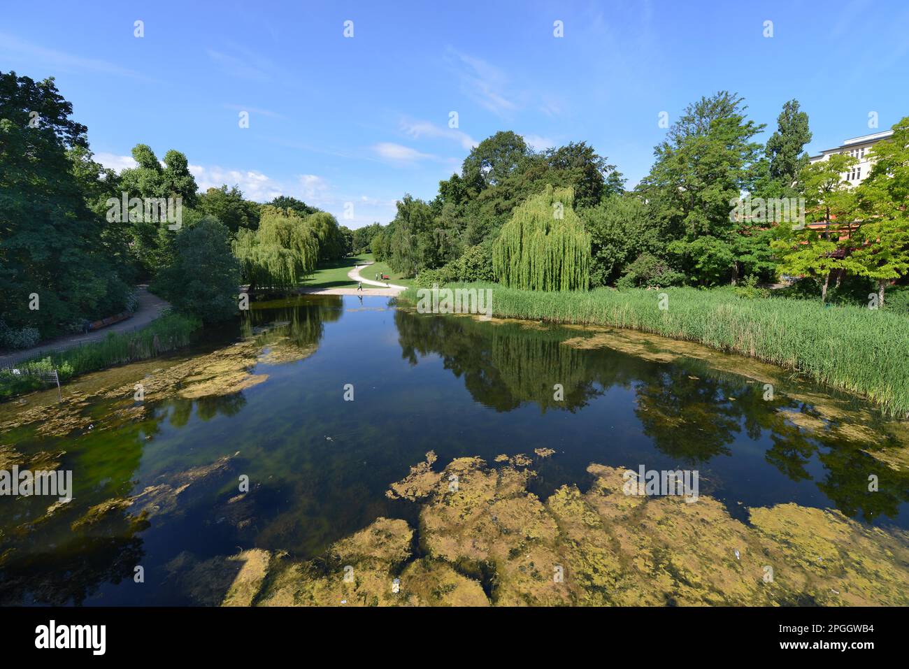 Duck Pond, Rudolph Wilde Park, Schoeneberg, Berlin, Germany Stock Photo ...