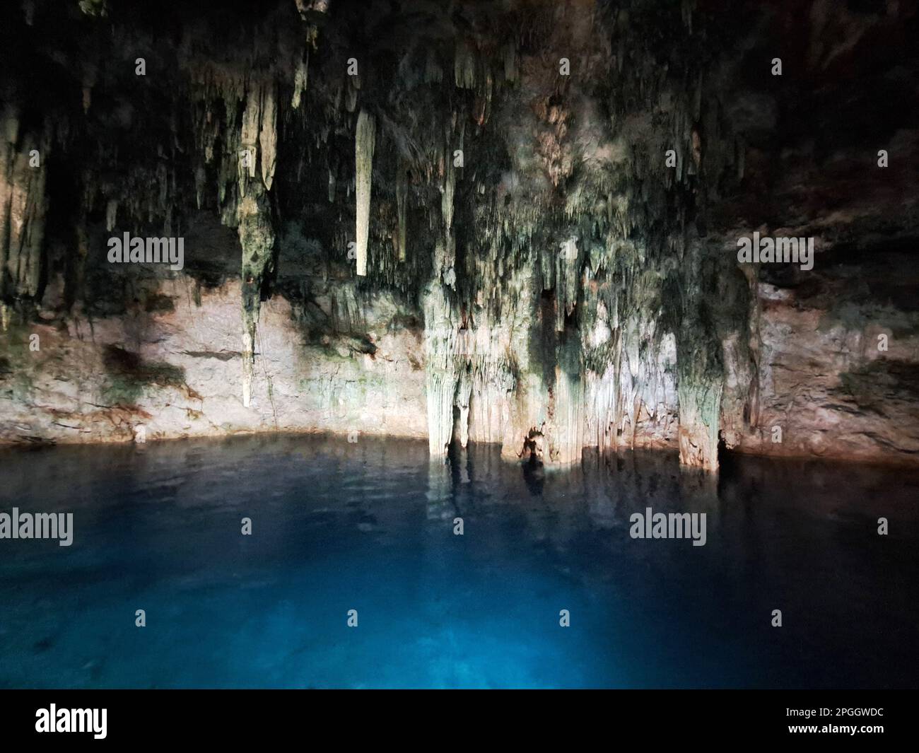 The Cenotes in Yucatan, Mexico are deep natural wells, a natural ...