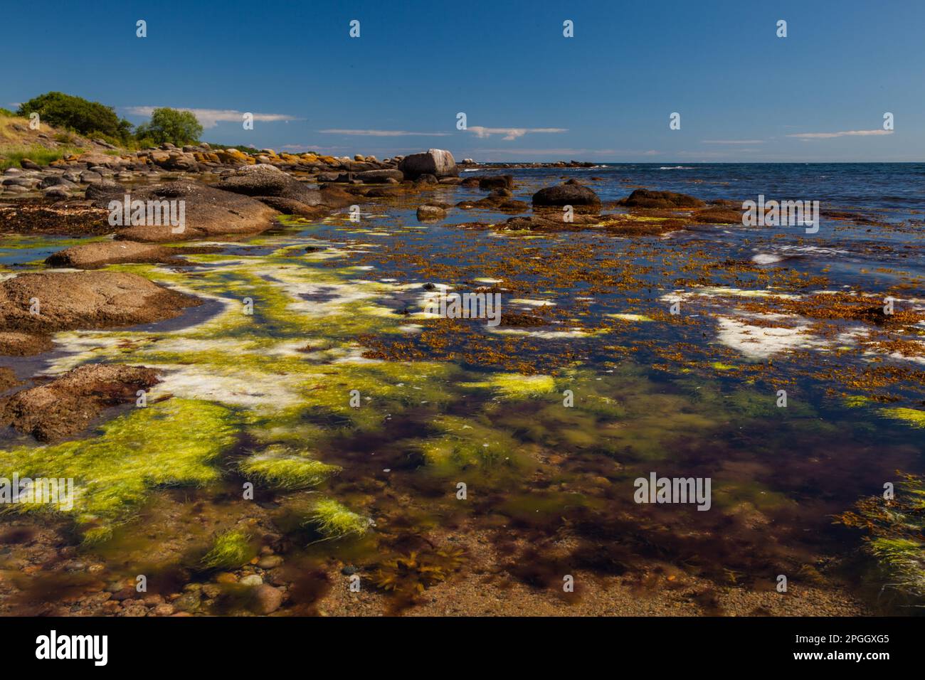 Beach, Aarsdale, Bornholm Island, Denmark Stock Photo - Alamy