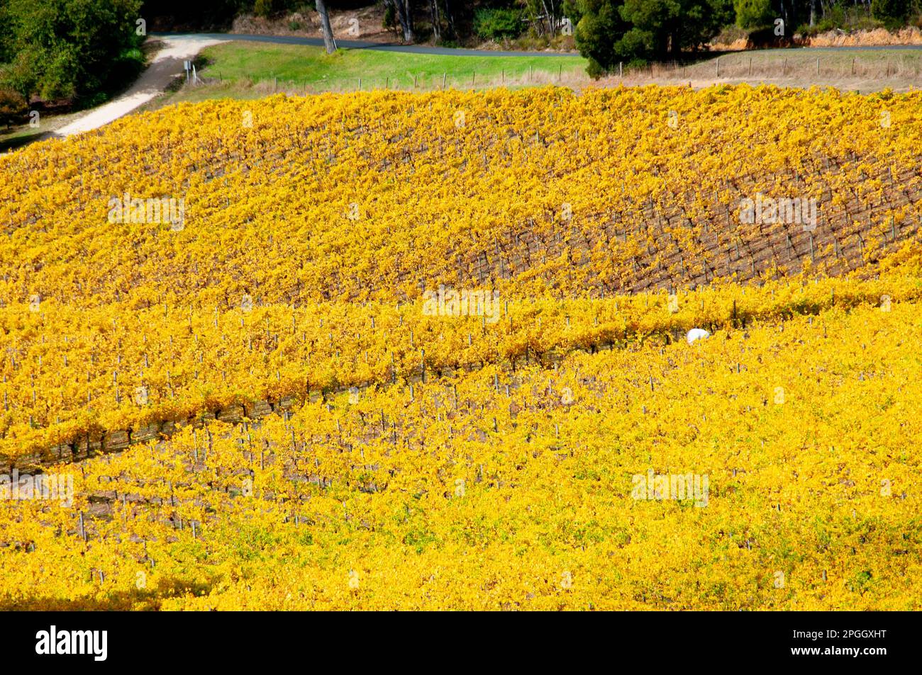 Adelaide hills hi-res stock photography and images - Alamy