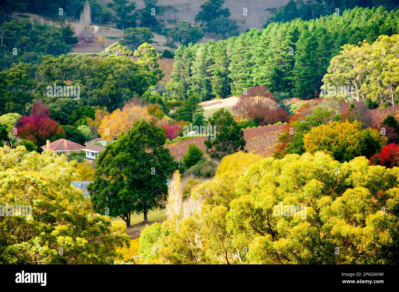 Adelaide hills hi-res stock photography and images - Alamy