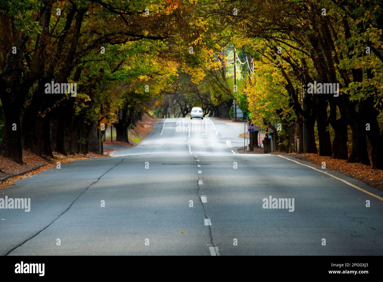 Barker rd hi-res stock photography and images - Alamy
