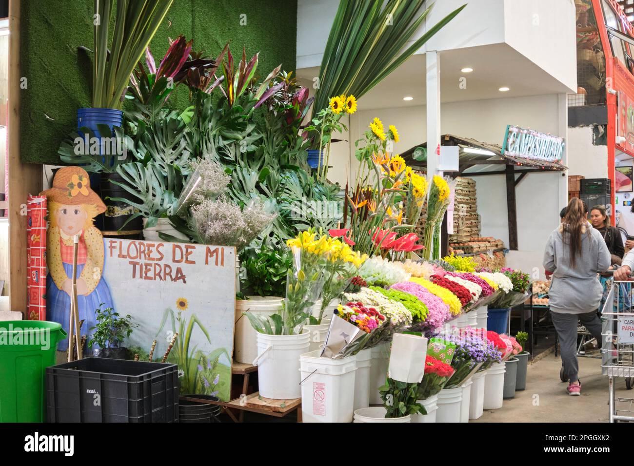 Bogota flower shop hi-res stock photography and images - Alamy