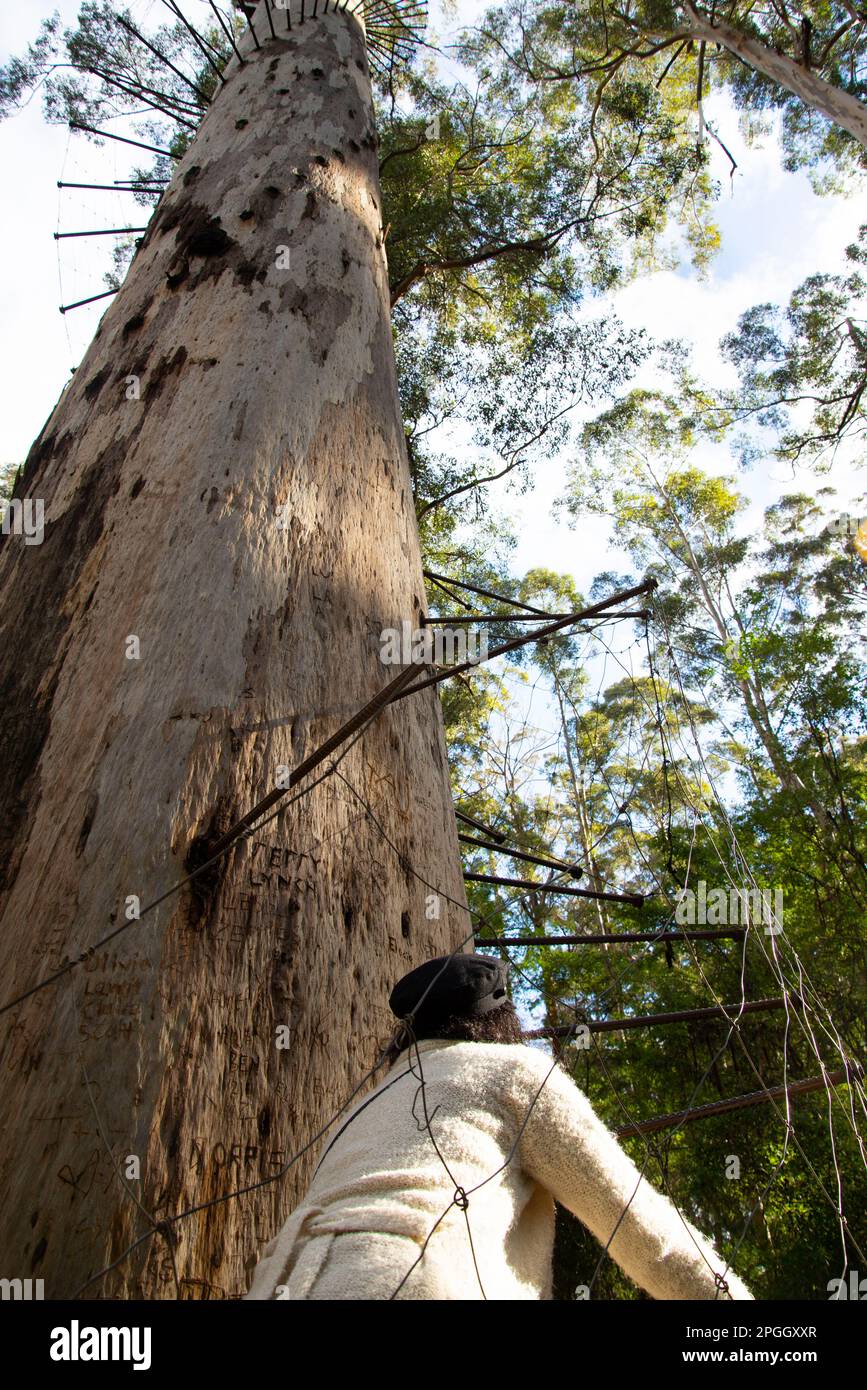 Dave evans bicentennial hi-res stock photography and images - Alamy