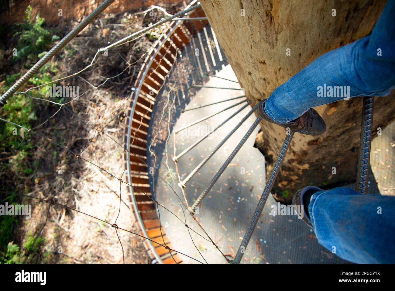 Dave Evans Bicentennial Tree - Western Australia Stock Photo - Alamy