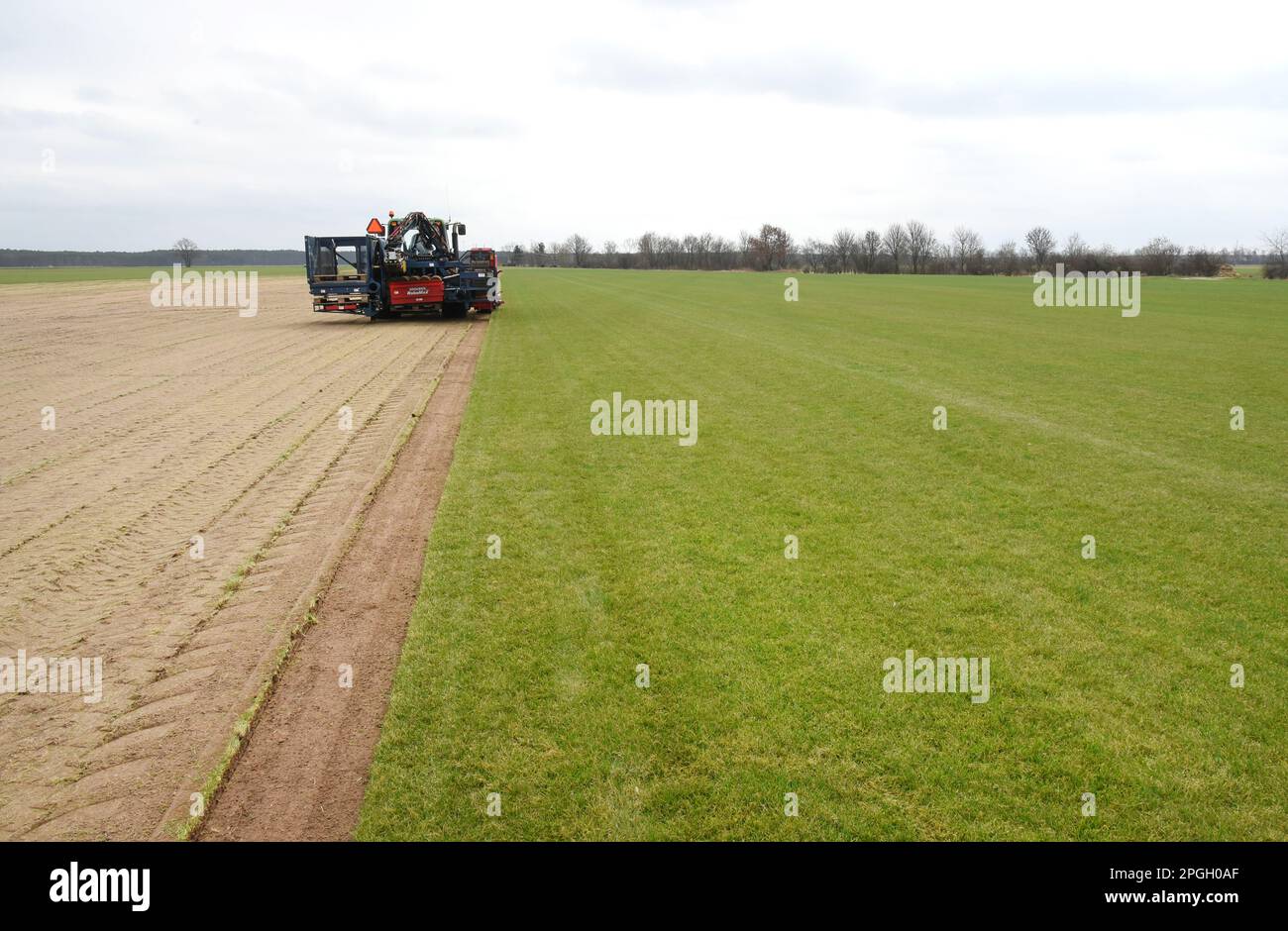 Turf machine hi-res stock photography and images - Alamy