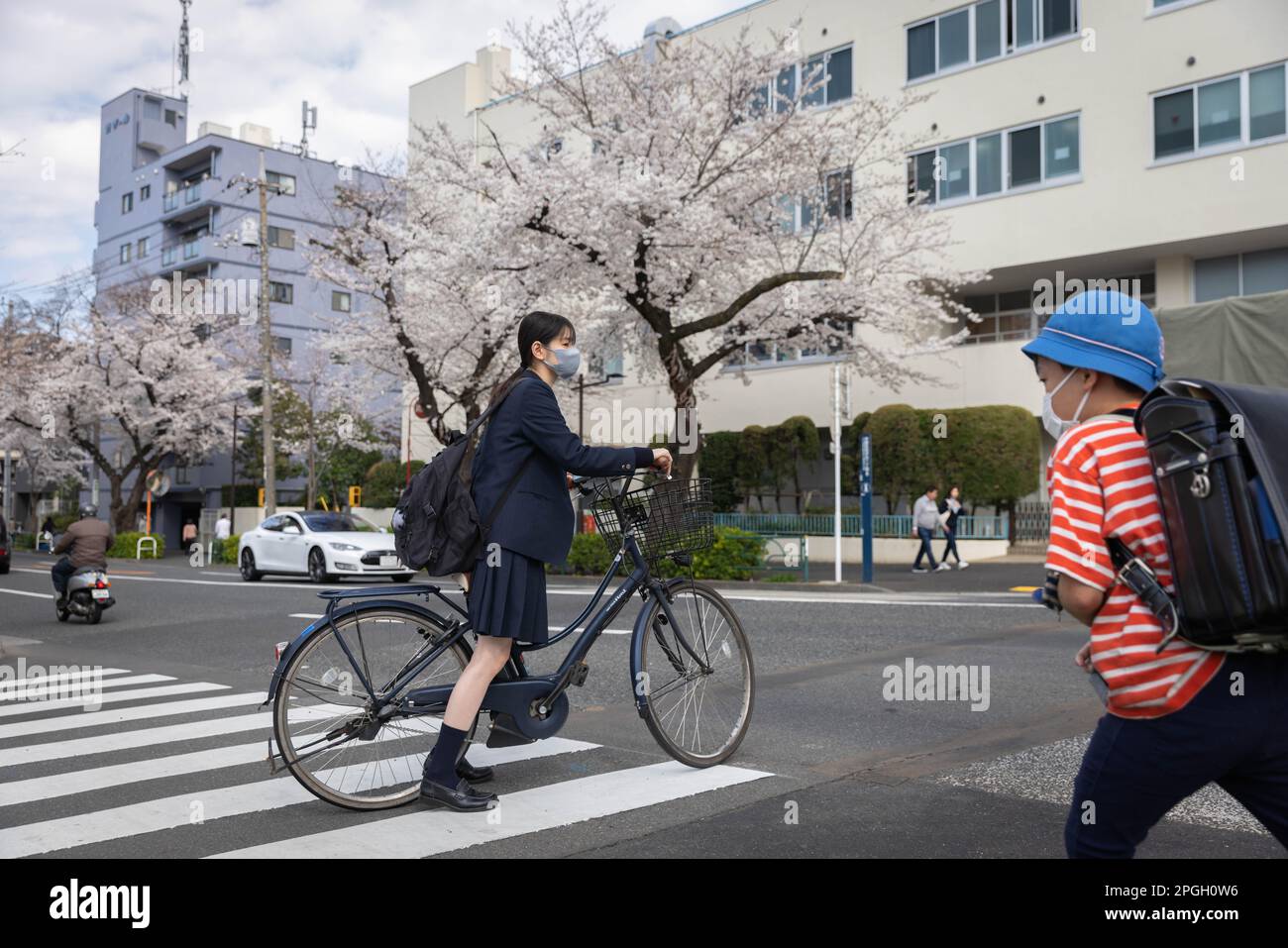Tokyo, Japan. 22nd Mar, 2023. A student on a bicycle waits to cross the ...