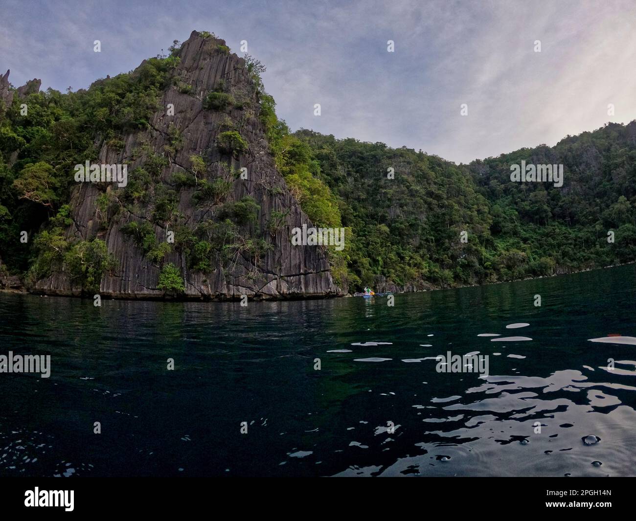 Majestic rocks in Coron, Palawan in the Philippines that are overgrown ...