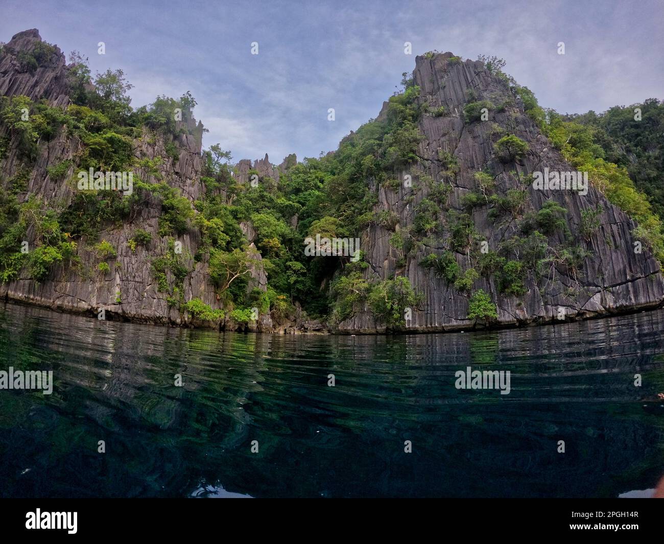 Majestic rocks in Coron, Palawan in the Philippines that are overgrown ...