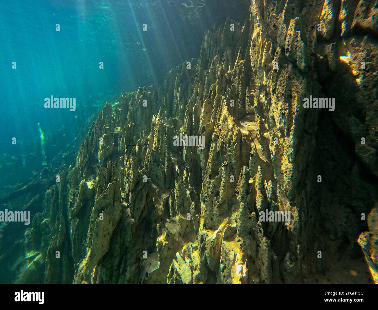 A rough rock below the water in Coron, Palawan in the Philippines with ...