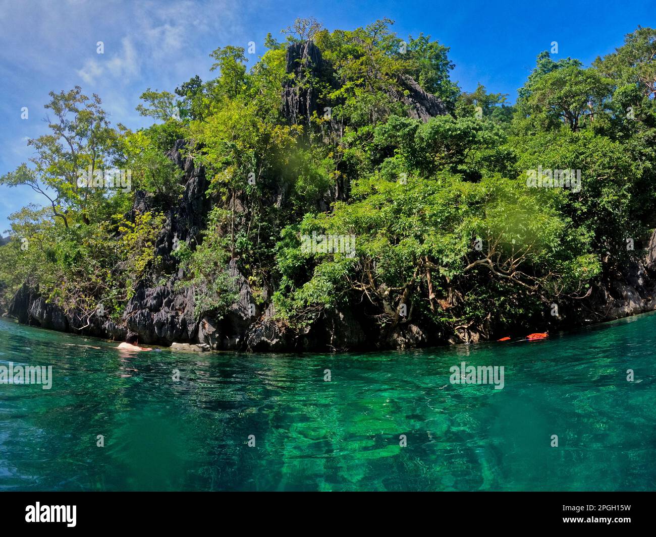 Majestic rocks in Coron, Palawan in the Philippines that are overgrown ...