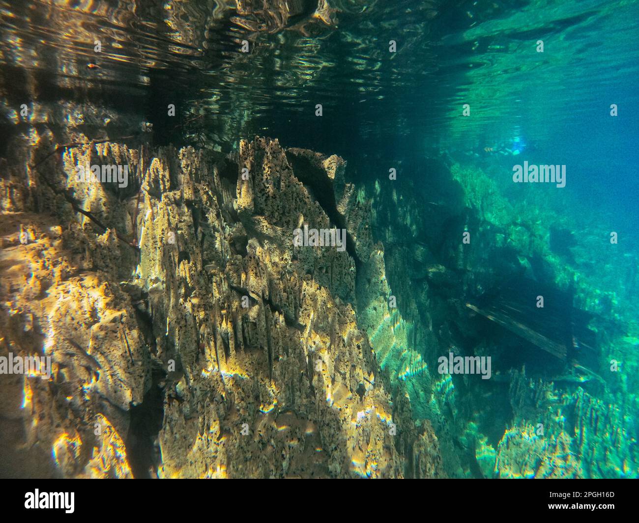 A rough rock below the water in Coron, Palawan in the Philippines with ...