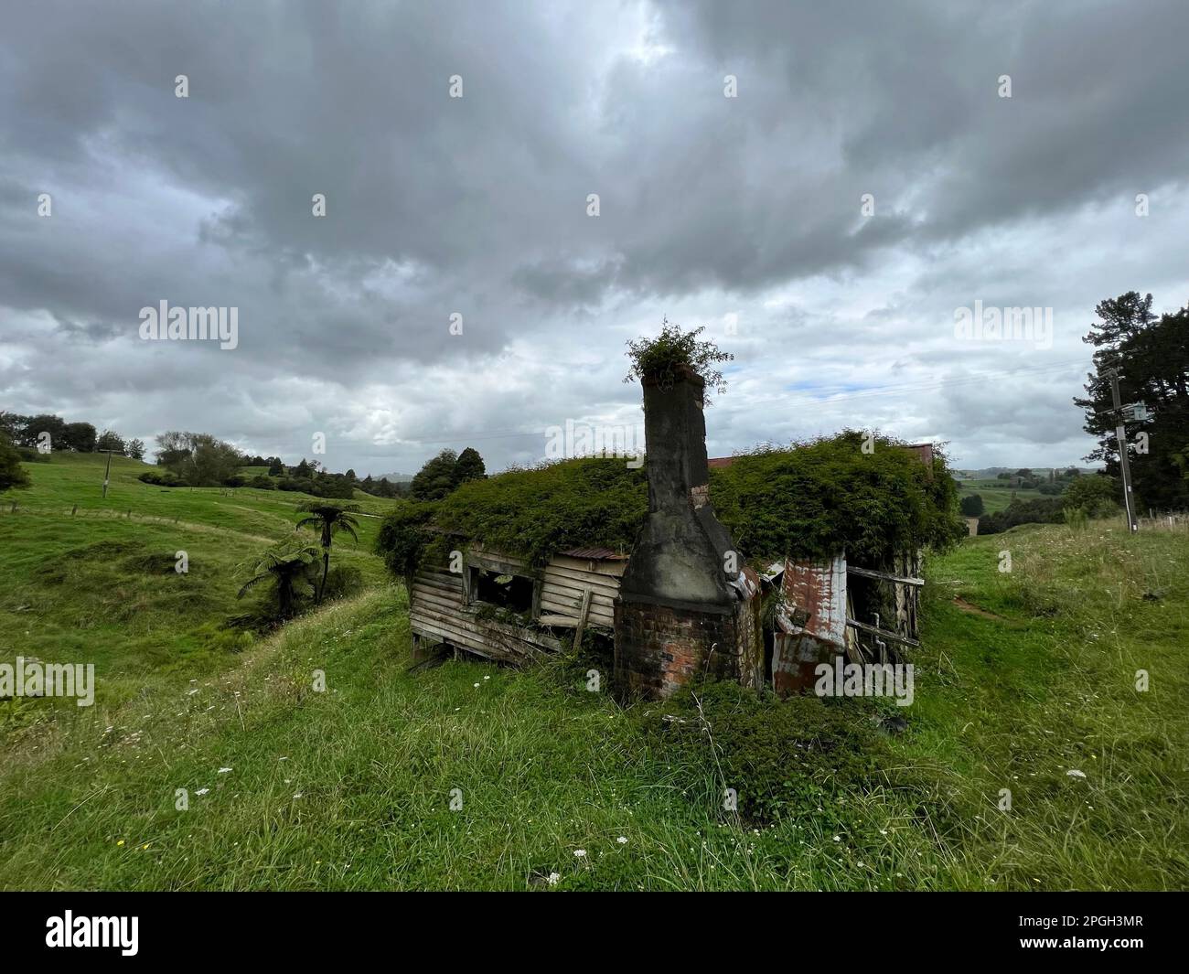 Abandoned farm house near Waikato on the north island of New Zealand ...