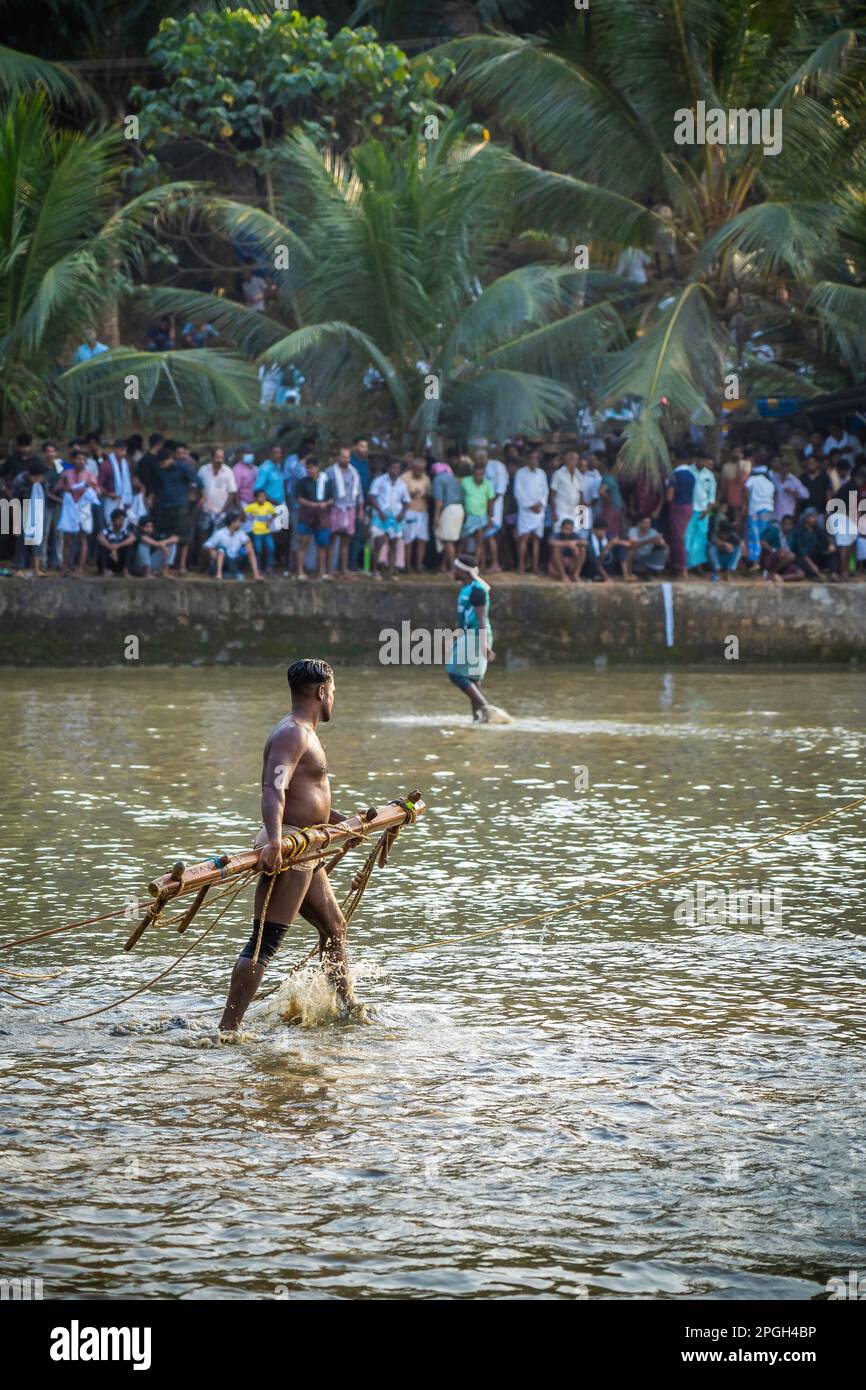 Traditional bull race in kerala hi-res stock photography and images - Alamy