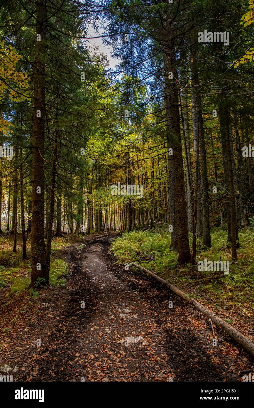 Mountain path in high mountains Stock Photo - Alamy