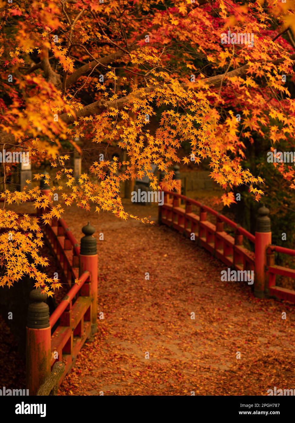 Nara scenery hi-res stock photography and images - Alamy