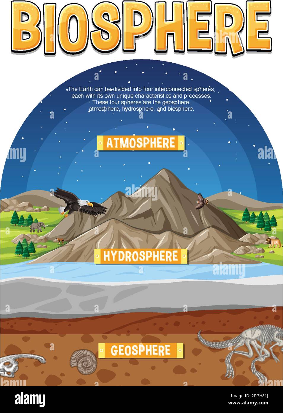 Biosphere Ecology Infographic for Learning illustration Stock Vector ...