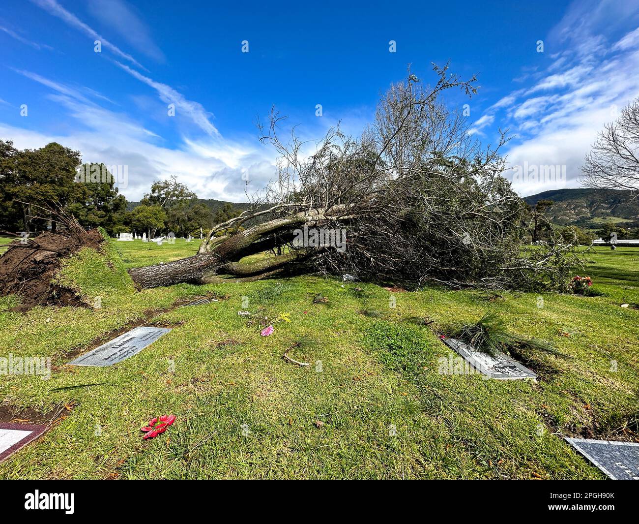 Tornado damage mobile home park hi-res stock photography and images - Alamy