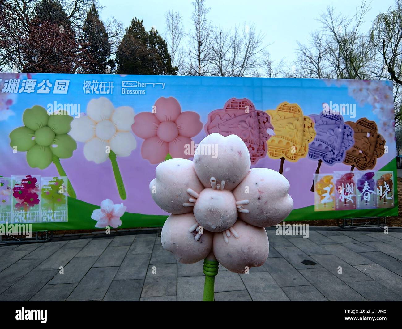 Cherry blossom ice cream attracts people to enjoy in Yuyuantan Park ...