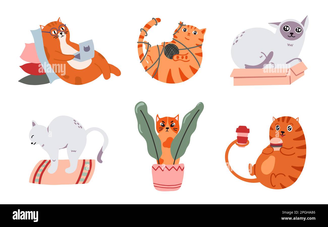 Adorable cats. Domestic furry pets having different activities. Animal ...