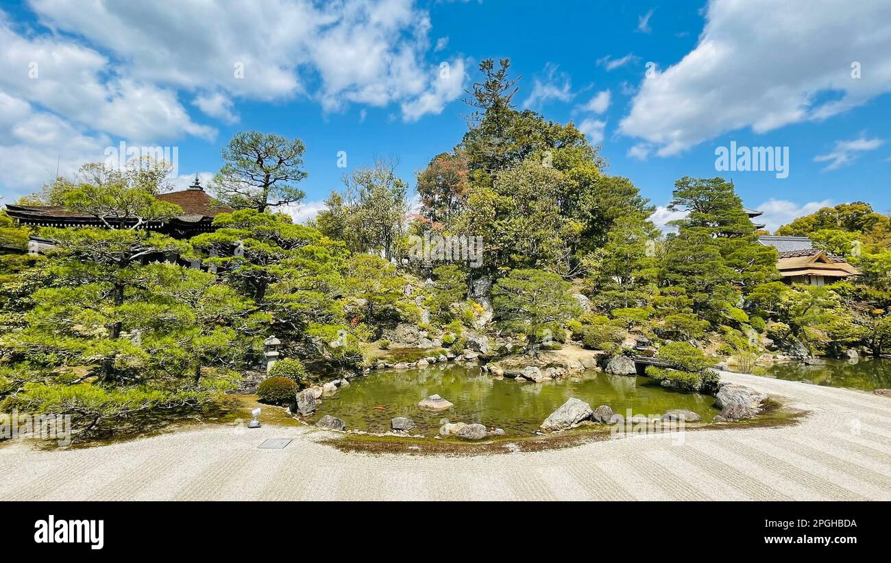A tranquil scene of a traditional Japanese garden, featuring a pond ...