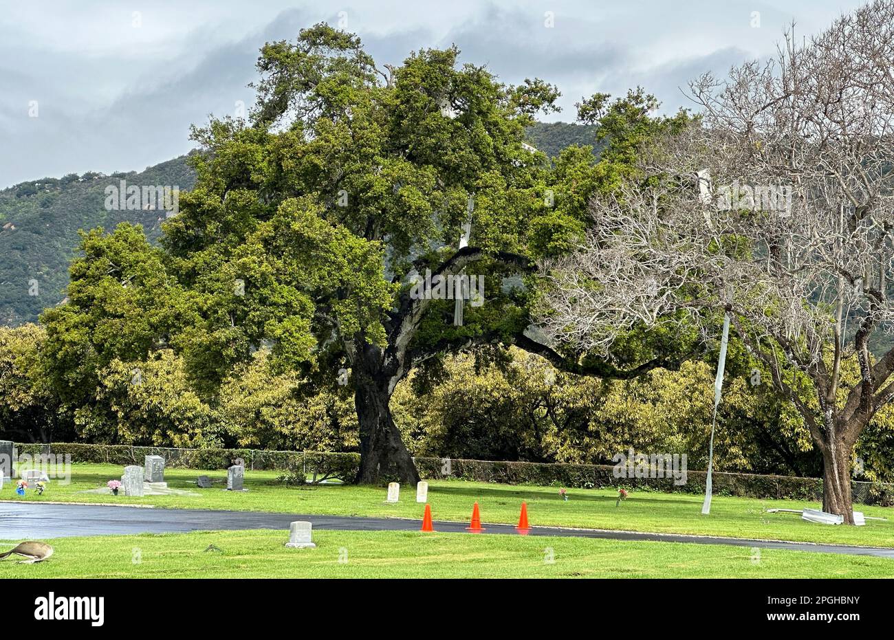 Tornado damage mobile home park hi-res stock photography and images - Alamy