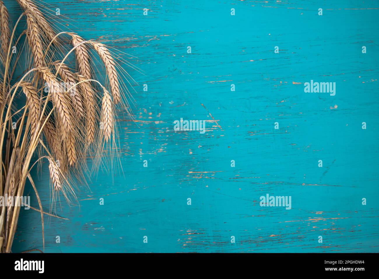 Golden wheat sheaf symbol hi-res stock photography and images - Alamy