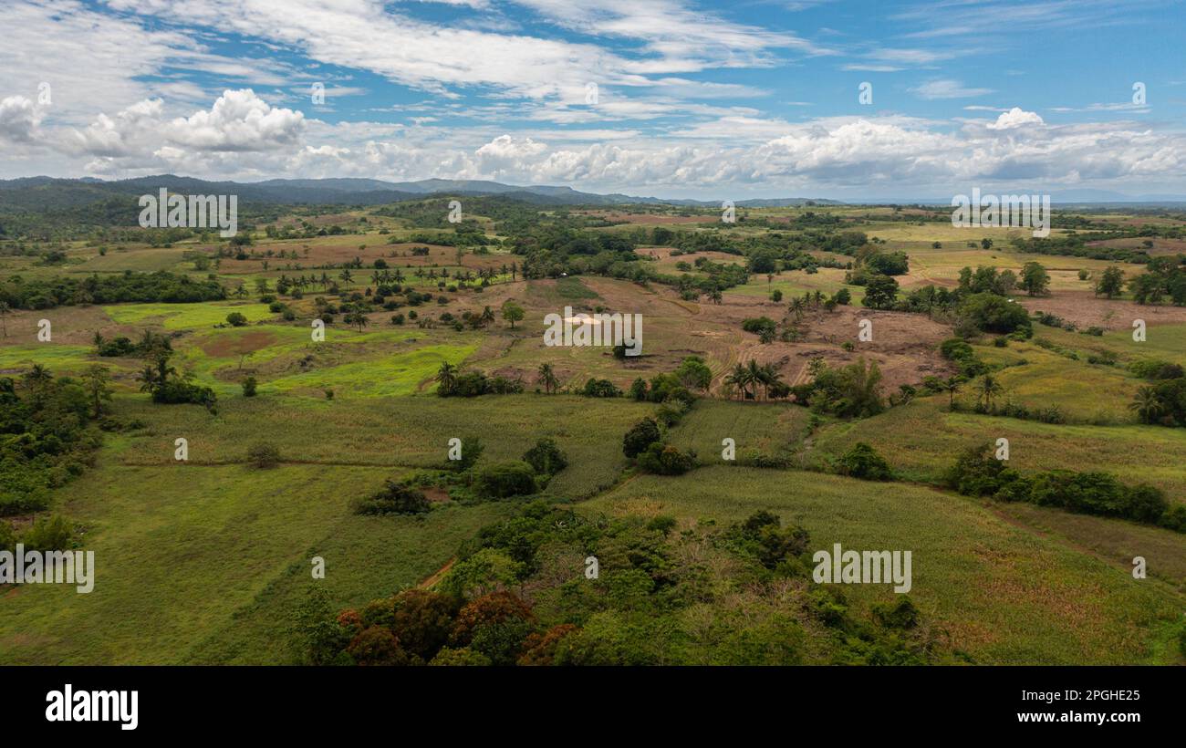 Tropical landscape: Agricultural land with plantings against a ...
