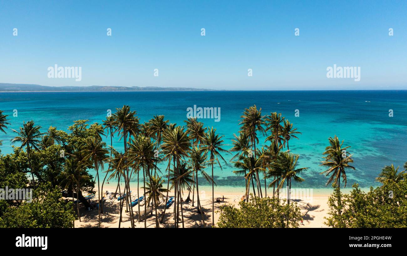 A tropical beach with palm trees and a blue ocean. Pagudpud, Ilocos ...