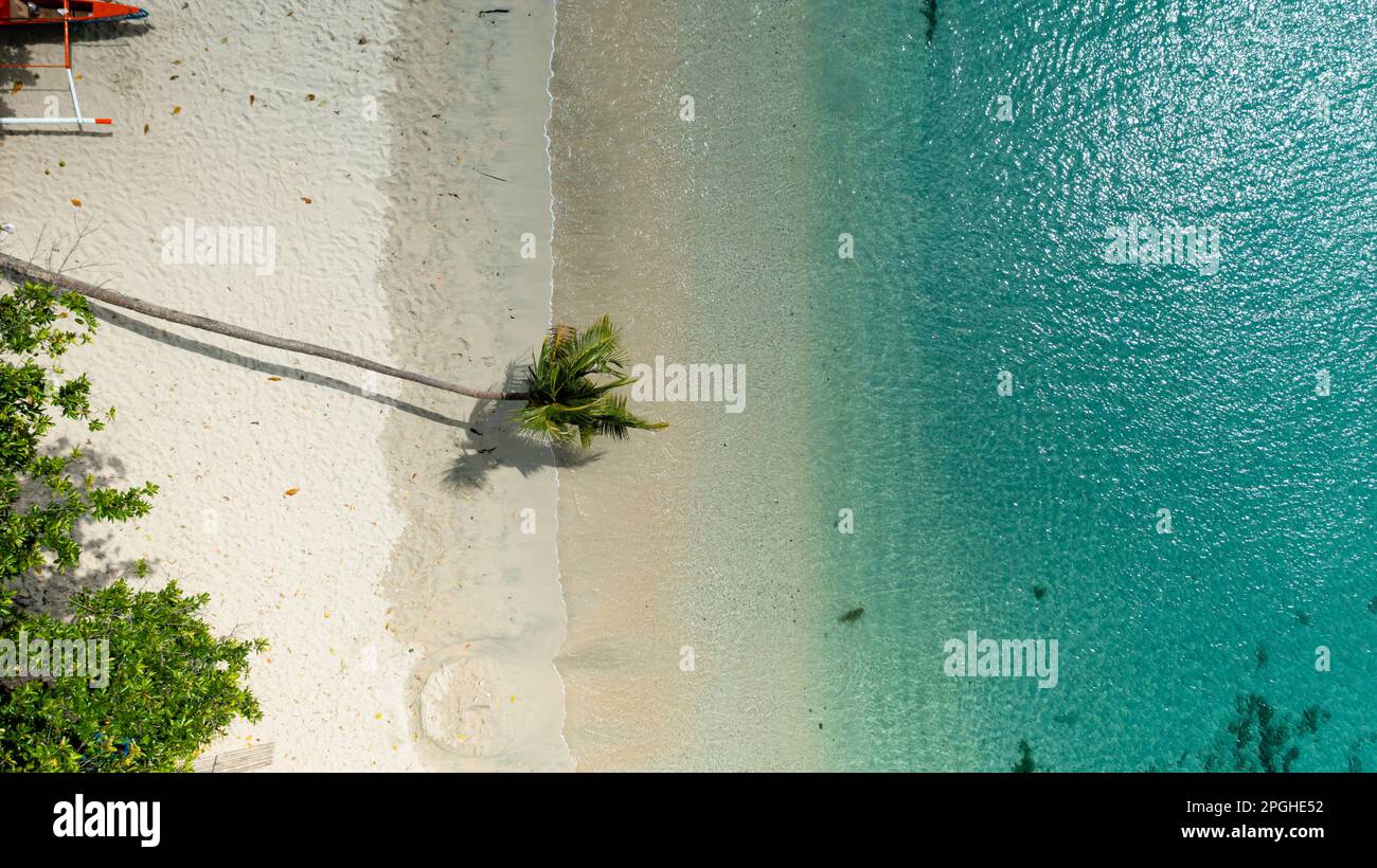 Aerial view of sandy beach with palm trees and ocean surf with waves ...