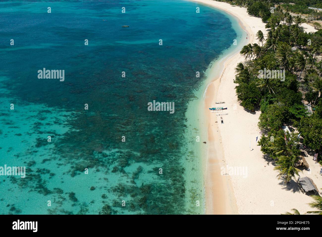 Aerial view of sandy beach with palm trees and sea surf with waves ...