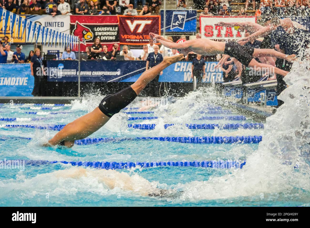 Minneapolis, Minnesota, USA. 22nd Mar, 2023. Swimmers start their ...