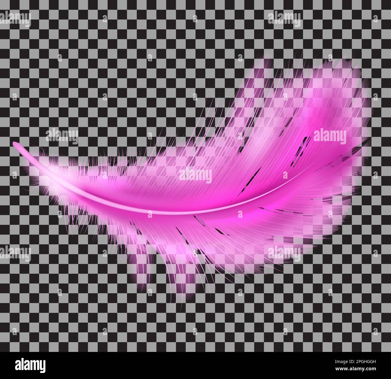 Color pink fluffy feather vector realistic isolated on transparent ...