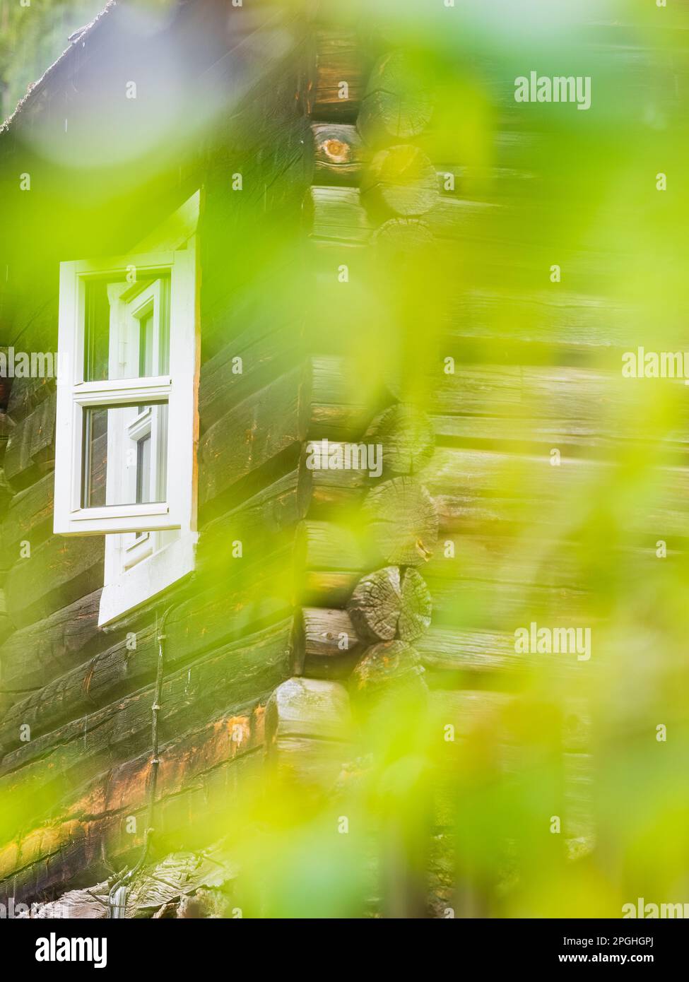 An old, wooden Norwegian building with an open yellow window and green ...