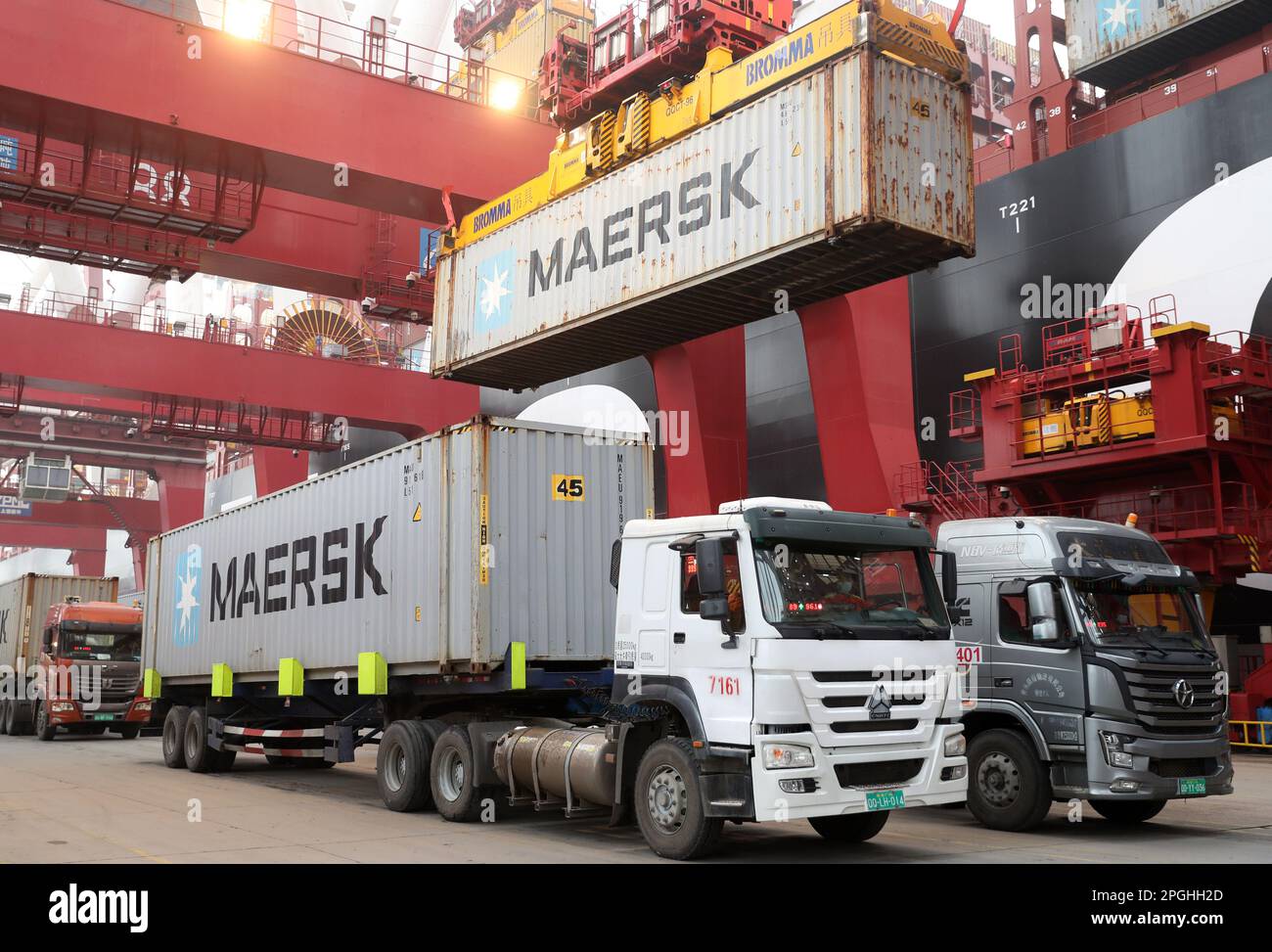 Msc irina hi-res stock photography and images - Alamy