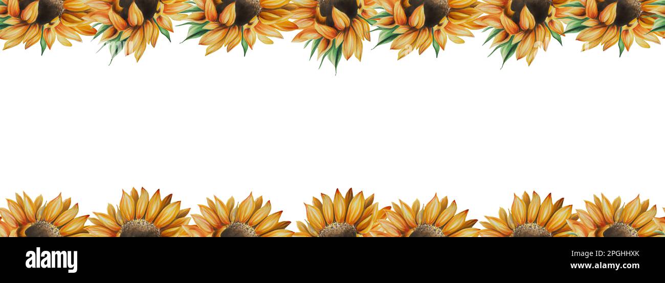 Sunflower Wedding Border Clip Art Sunflower Wedding Invitation Stock