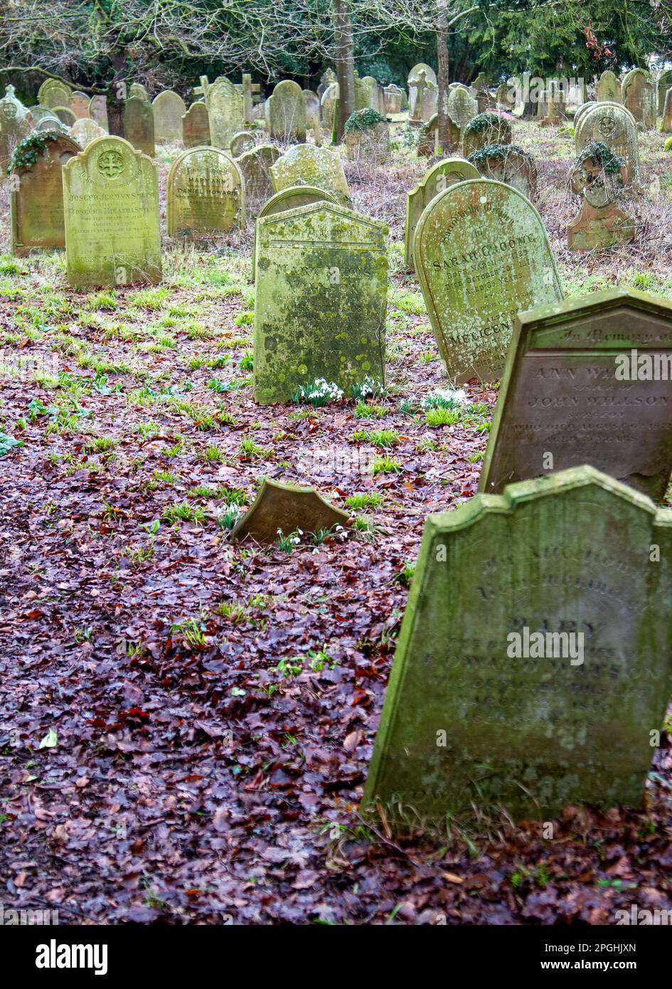 Aging Victorian gravestones in a public Suffolk cemetery Stock Photo ...