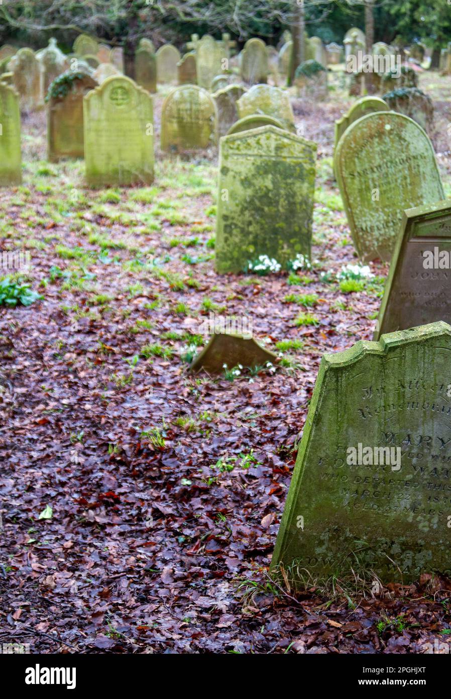 Aging Victorian gravestones in a public Suffolk cemetery Stock Photo ...