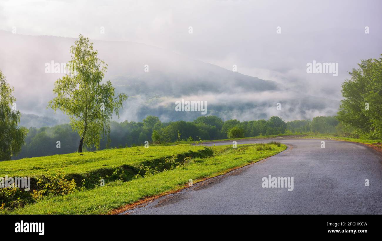 road winds through the foggy countryside, revealing a breathtaking ...