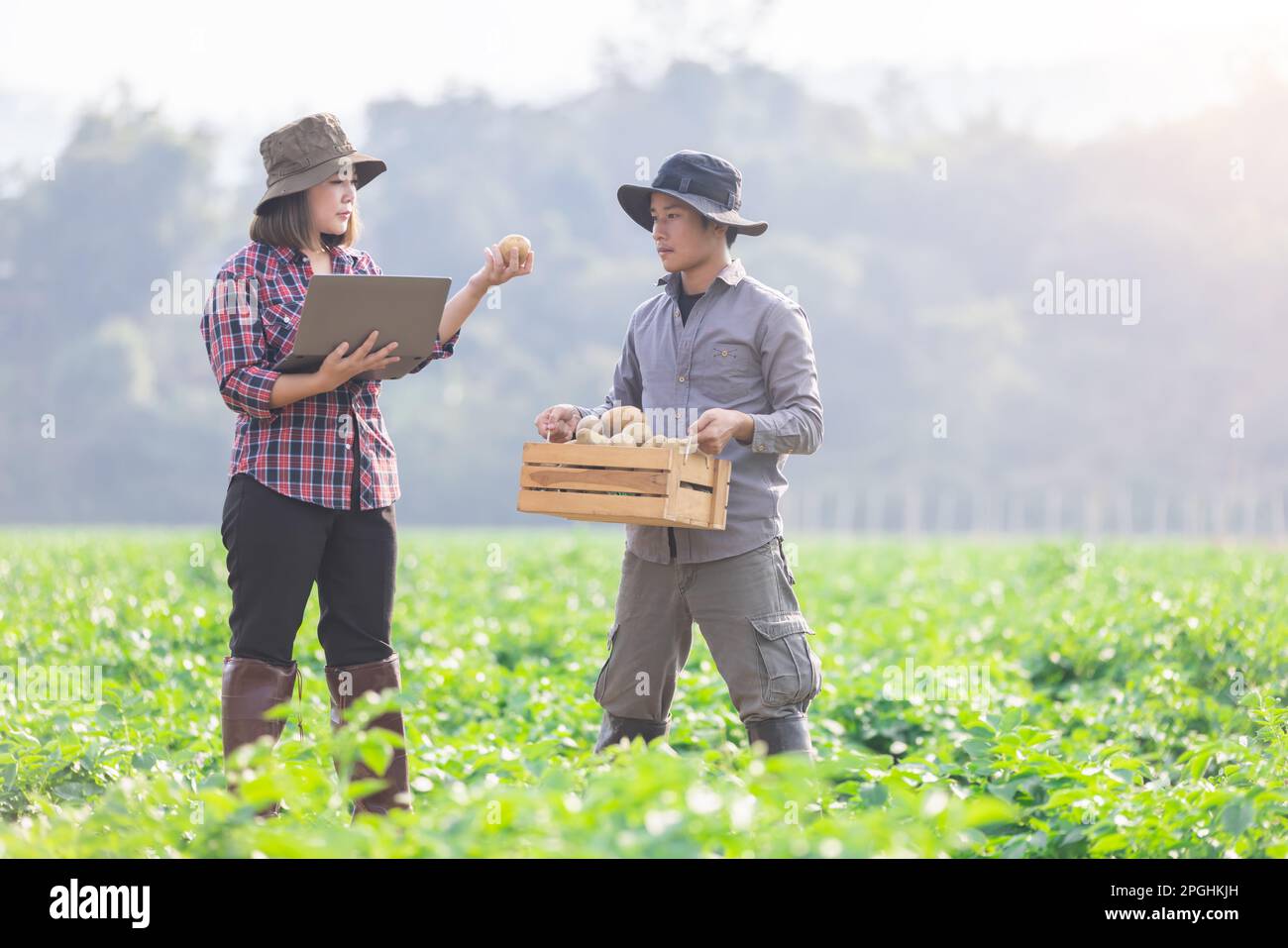 Farmers survey growth and quality using digital smart tablets to record ...