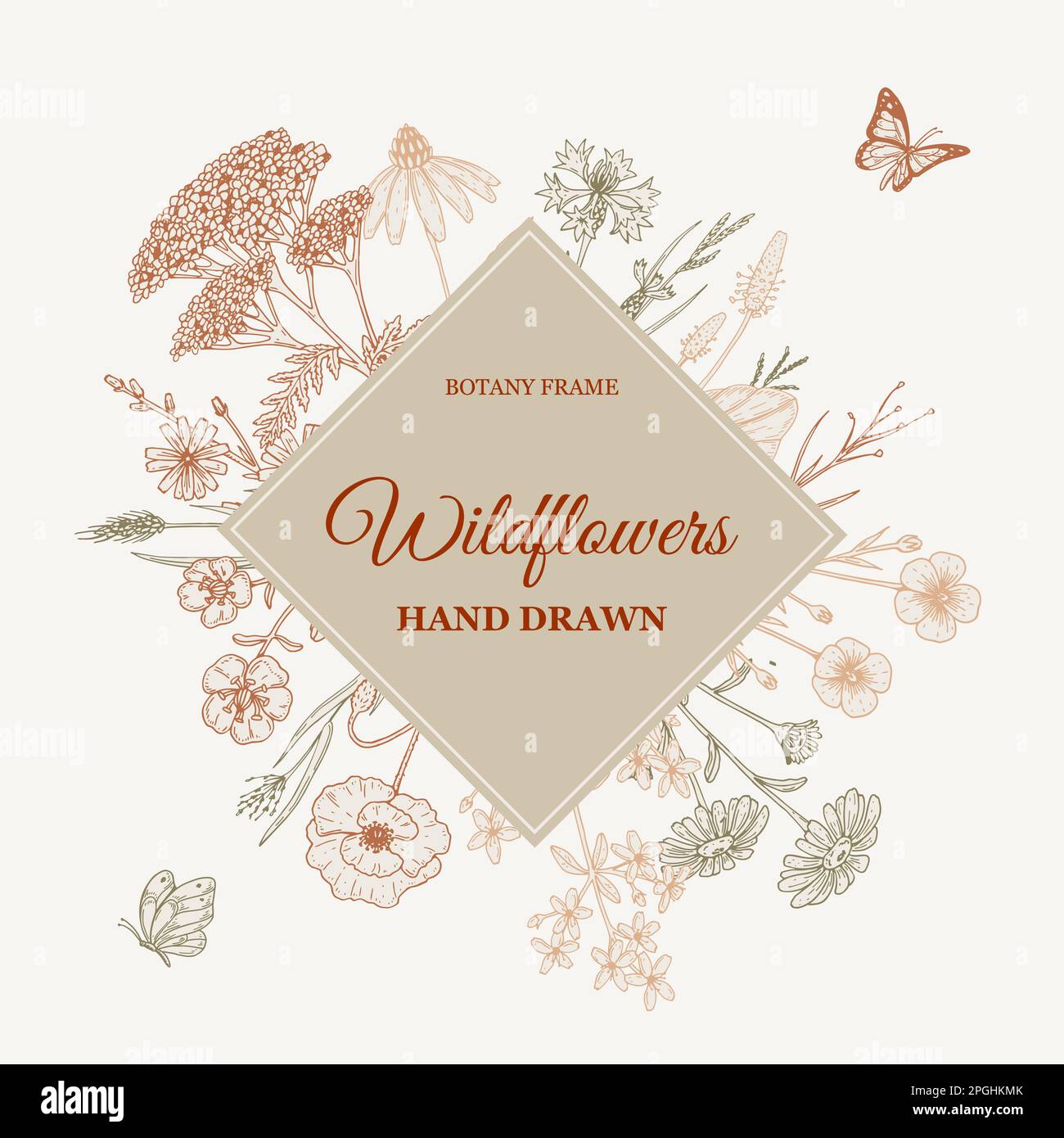 Plant frame butterfly in Stock Vector Images - Alamy