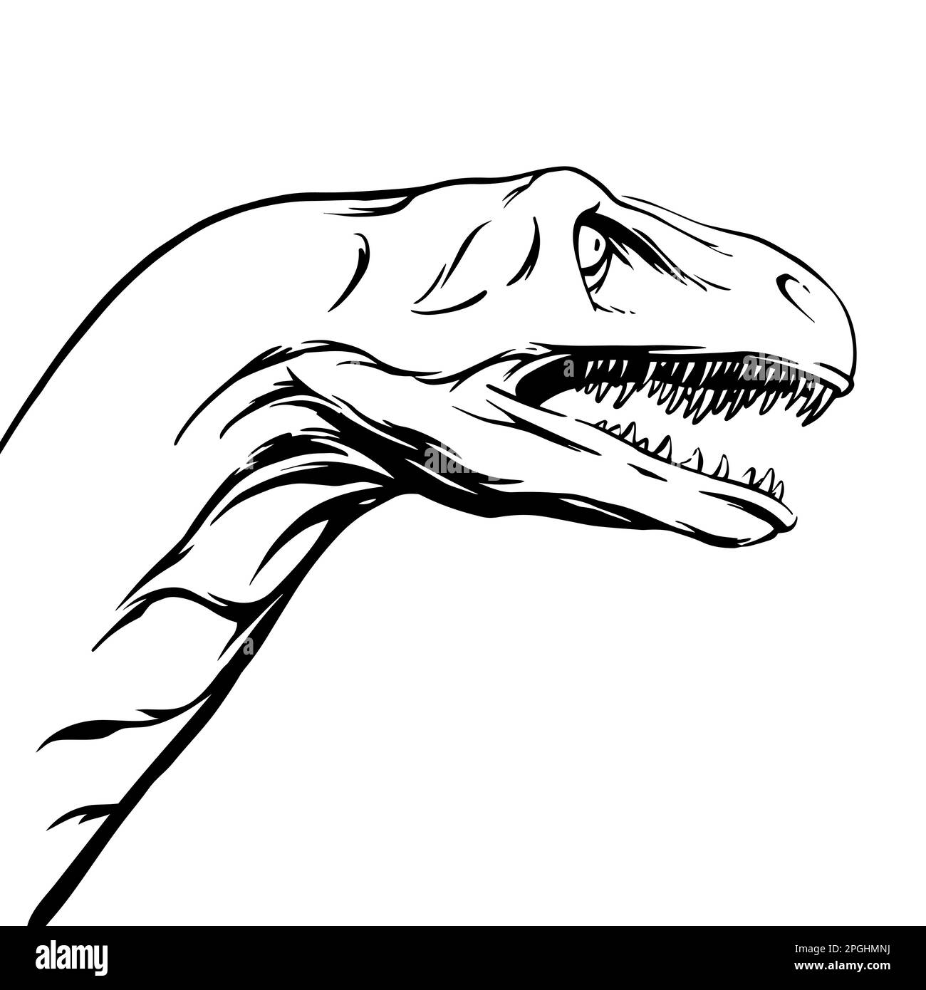 Drawn brontosaurus head isolated on white background for print and ...