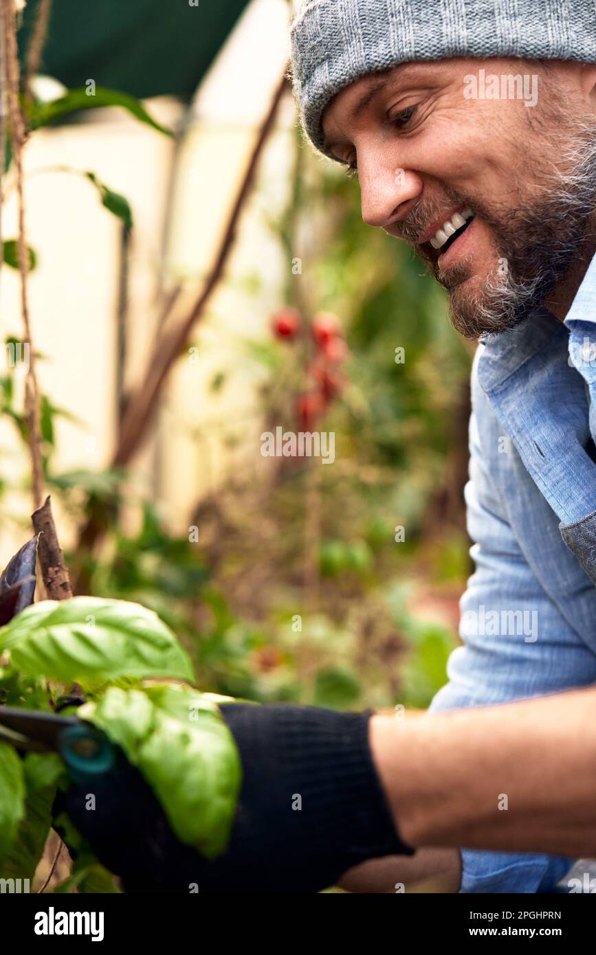 Close-up portrait of a smiling gardener holding branches and leaves of ...