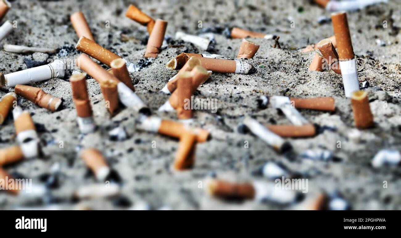 color macro image of used cigarette butts in an ash tray Stock Photo ...