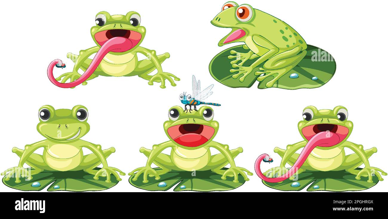 Set of green frog cartoon character illustration Stock Vector Image ...