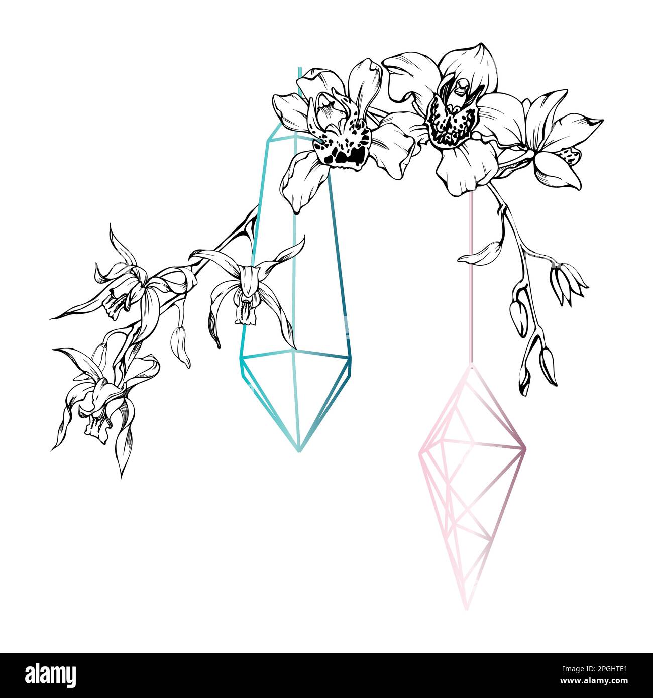 Hand drawn vector ink orchid flowers and branches, monochrome, detailed ...