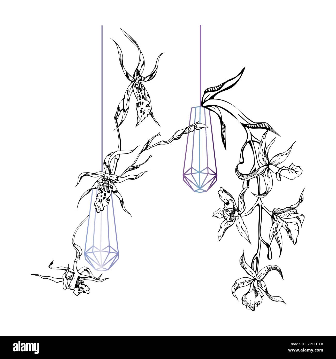 Hand drawn vector ink orchid flowers and branches, monochrome, detailed ...