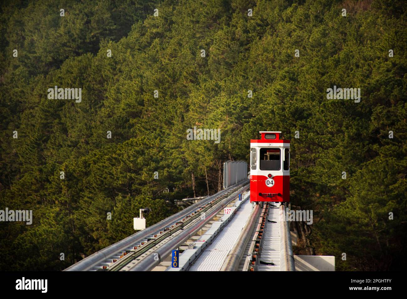 Korean people and foreign travelers sitting passengers journey on Sky ...