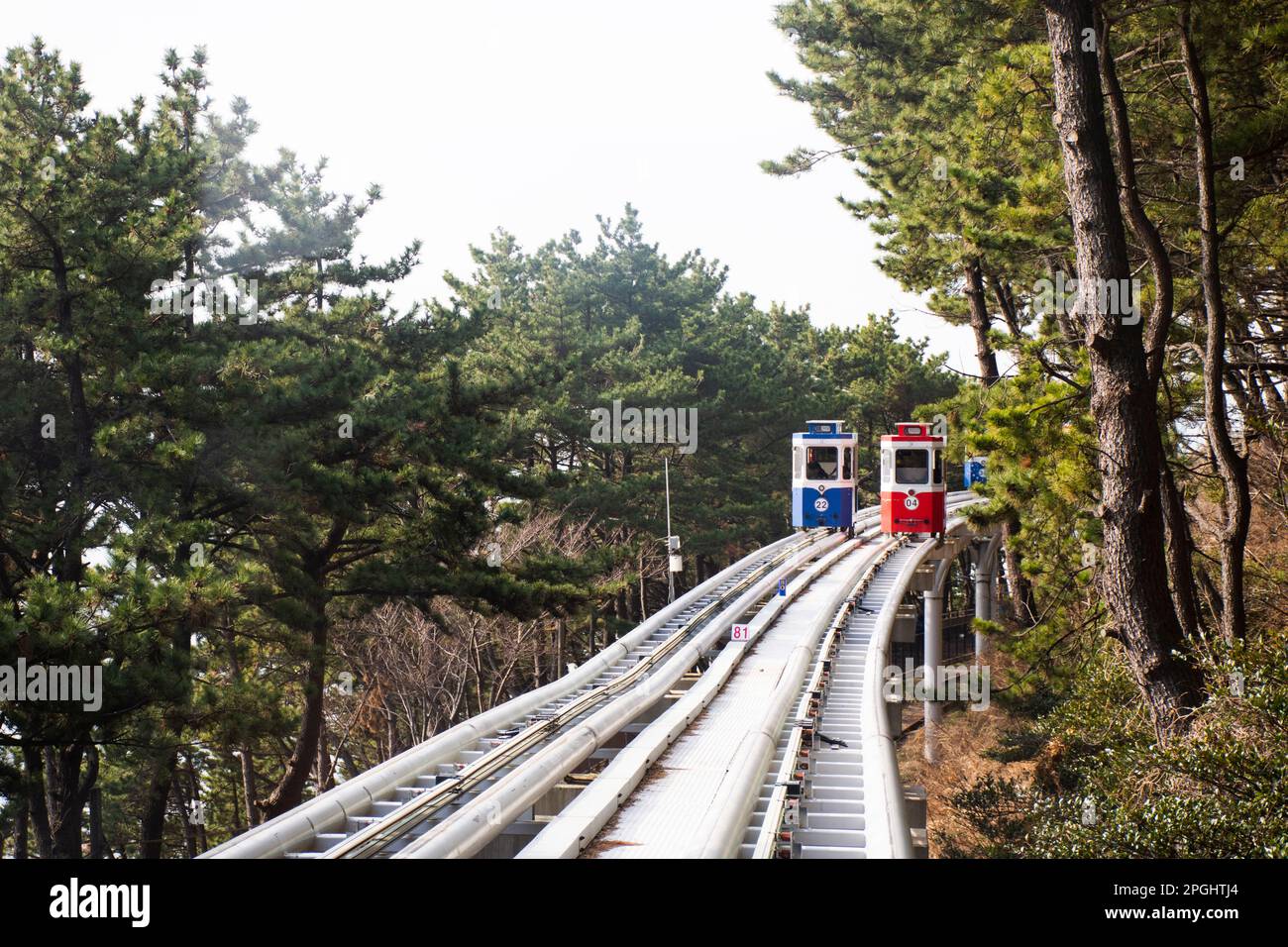Korean people and foreign travelers sitting passengers journey on Sky ...